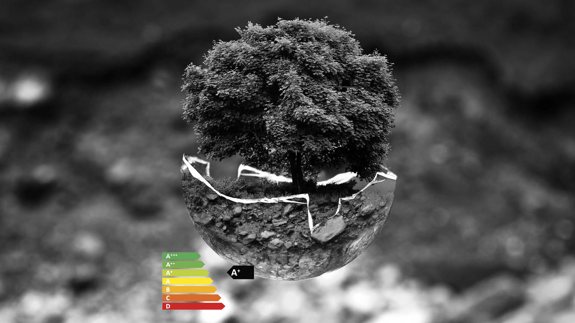 BADECO - Switzerland